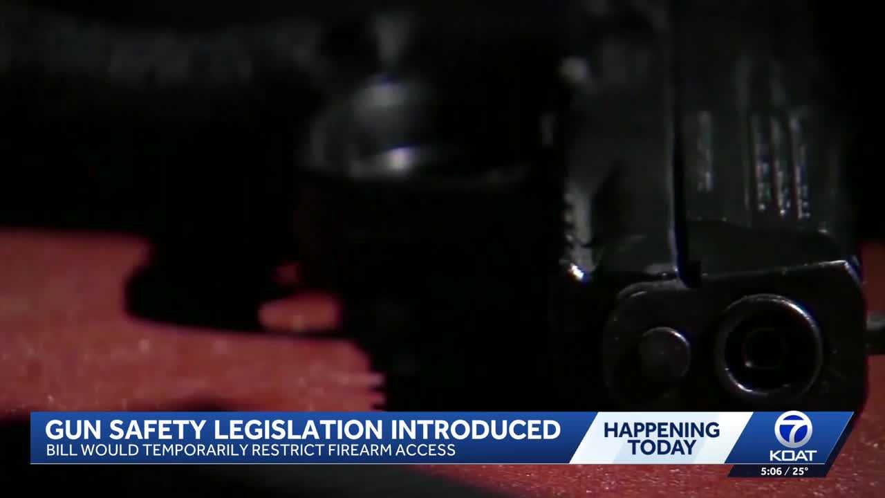 New Mexico bill targets firearm access for adults with juvenile gun ...
