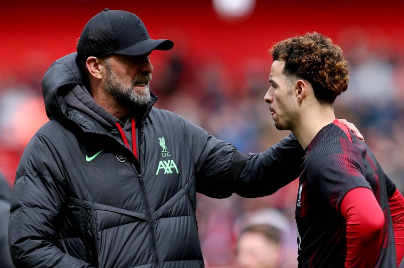 Jurgen Klopp delivered Curtis Jones verdict long before Tottenham ...