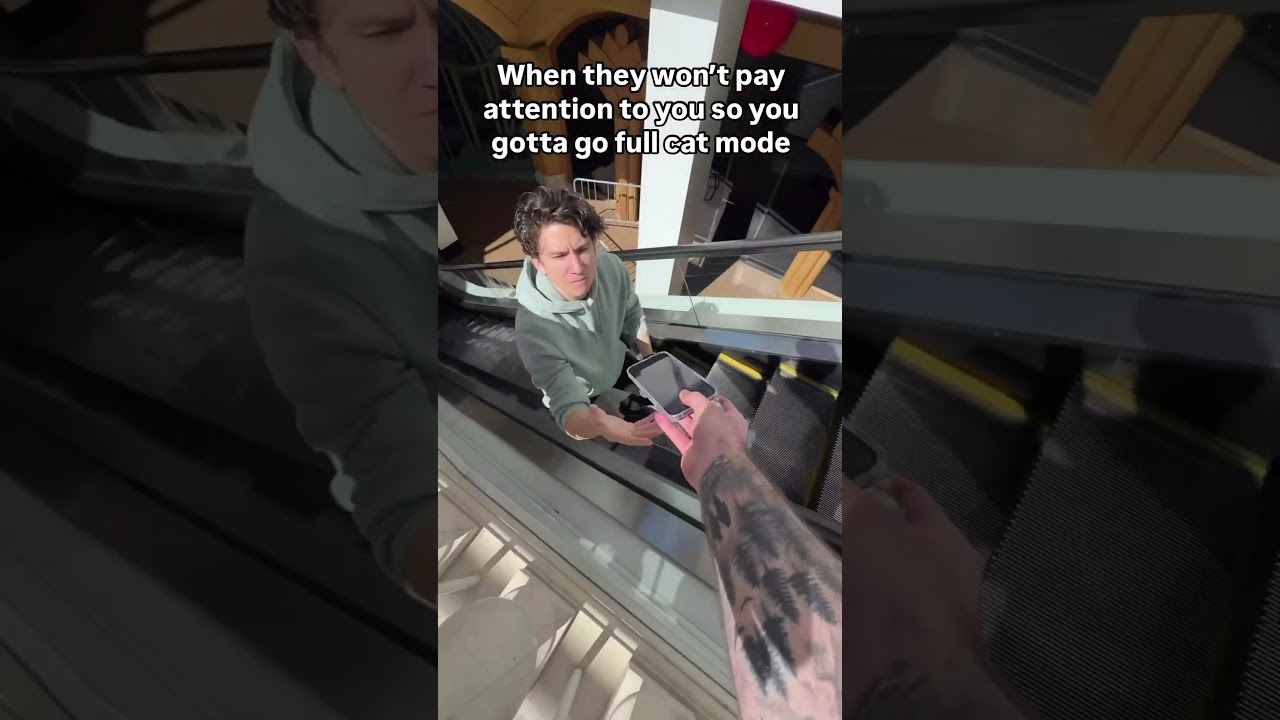 Acting like a cat in public
