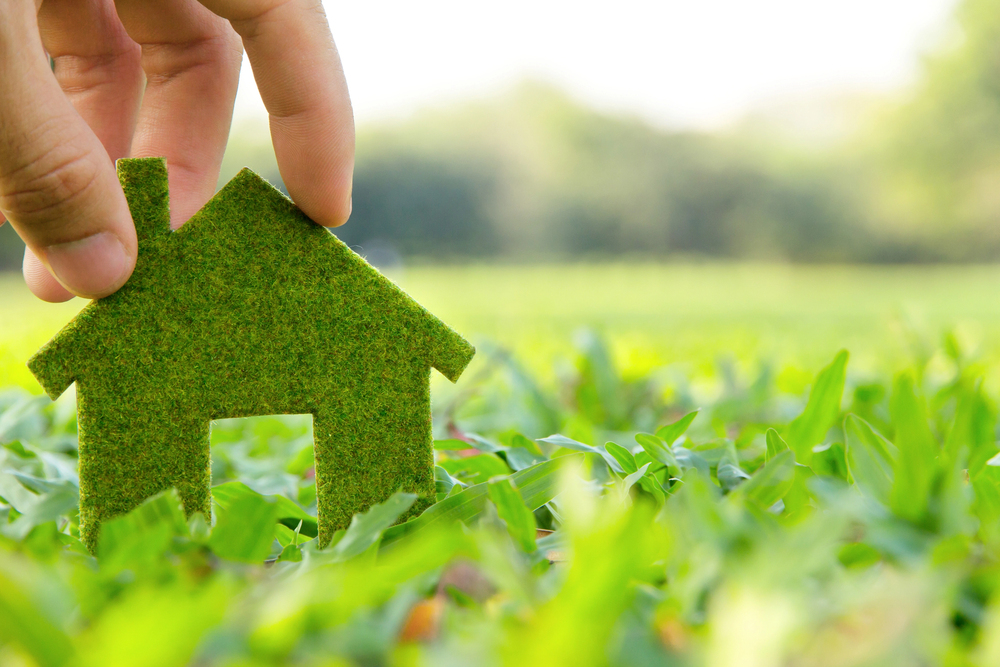 These eco-friendly swaps can save you real cash