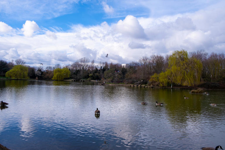 East London stinks: Residents plagued by sewage smell