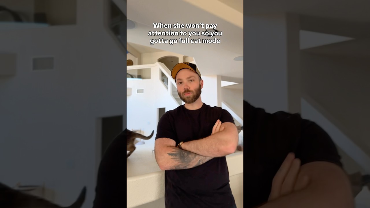 Proving I can be as cute and annoying as the cats