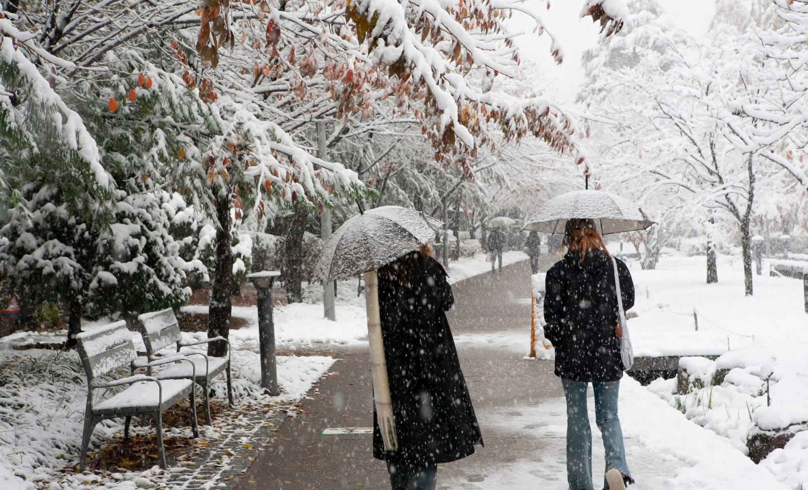 Met Office updates 10-day forecast as snow targets northern UK