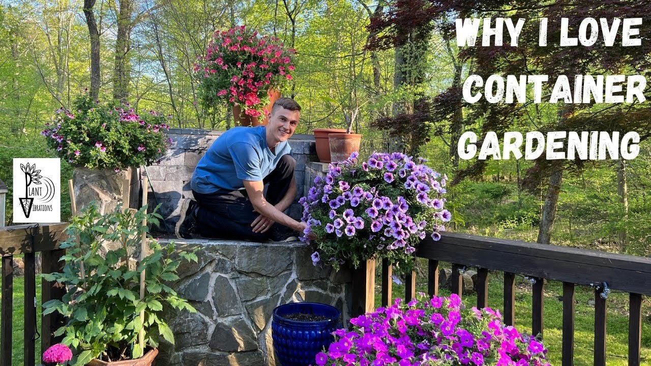 5 reasons why I love container gardening - ideas, tips & inspiration