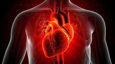 Groundbreaking discovery: Human heart can regenerate muscle cells post ...