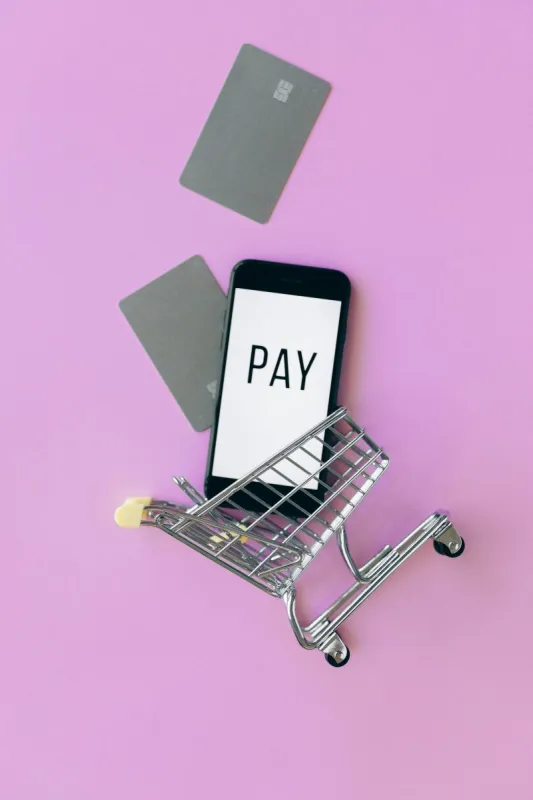 HDFC Bank enables digital rupee payments for merchants