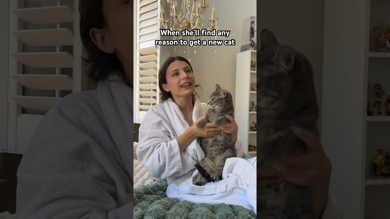 When she'll find any reason to get a new cat