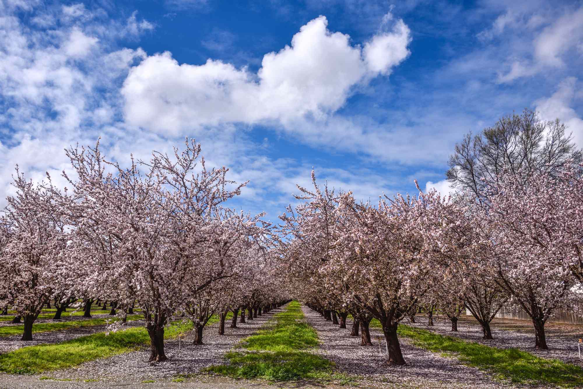 This 365-mile train route is one of the prettiest in California—with ...