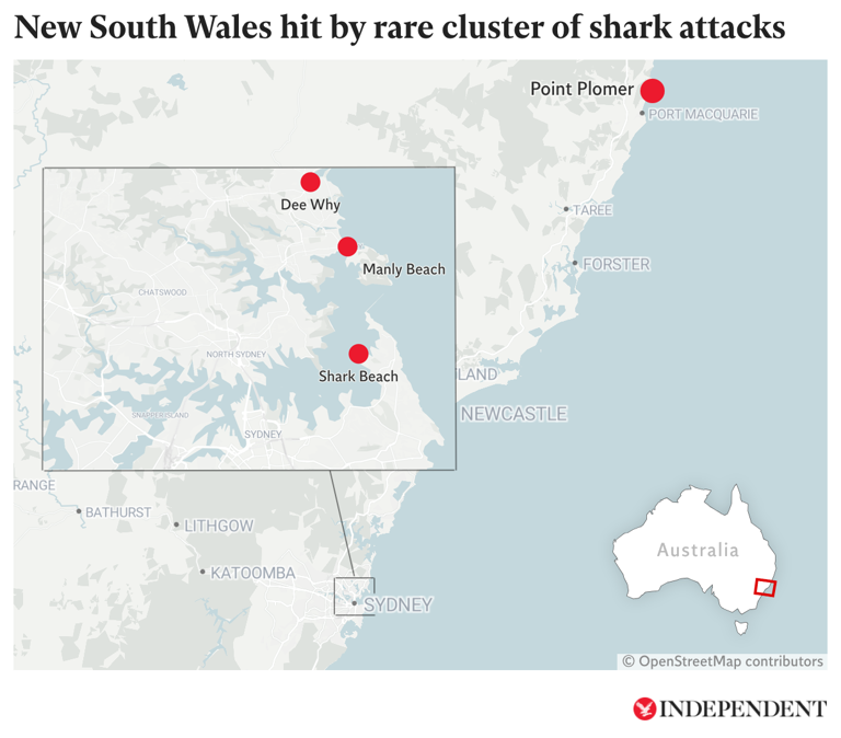 Australia closes dozens of beaches after 4th shark attack in 48 hours