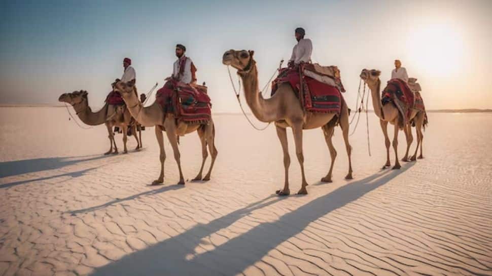 From white salt desert to vibrant villages: Explore Rann of Kutch ...