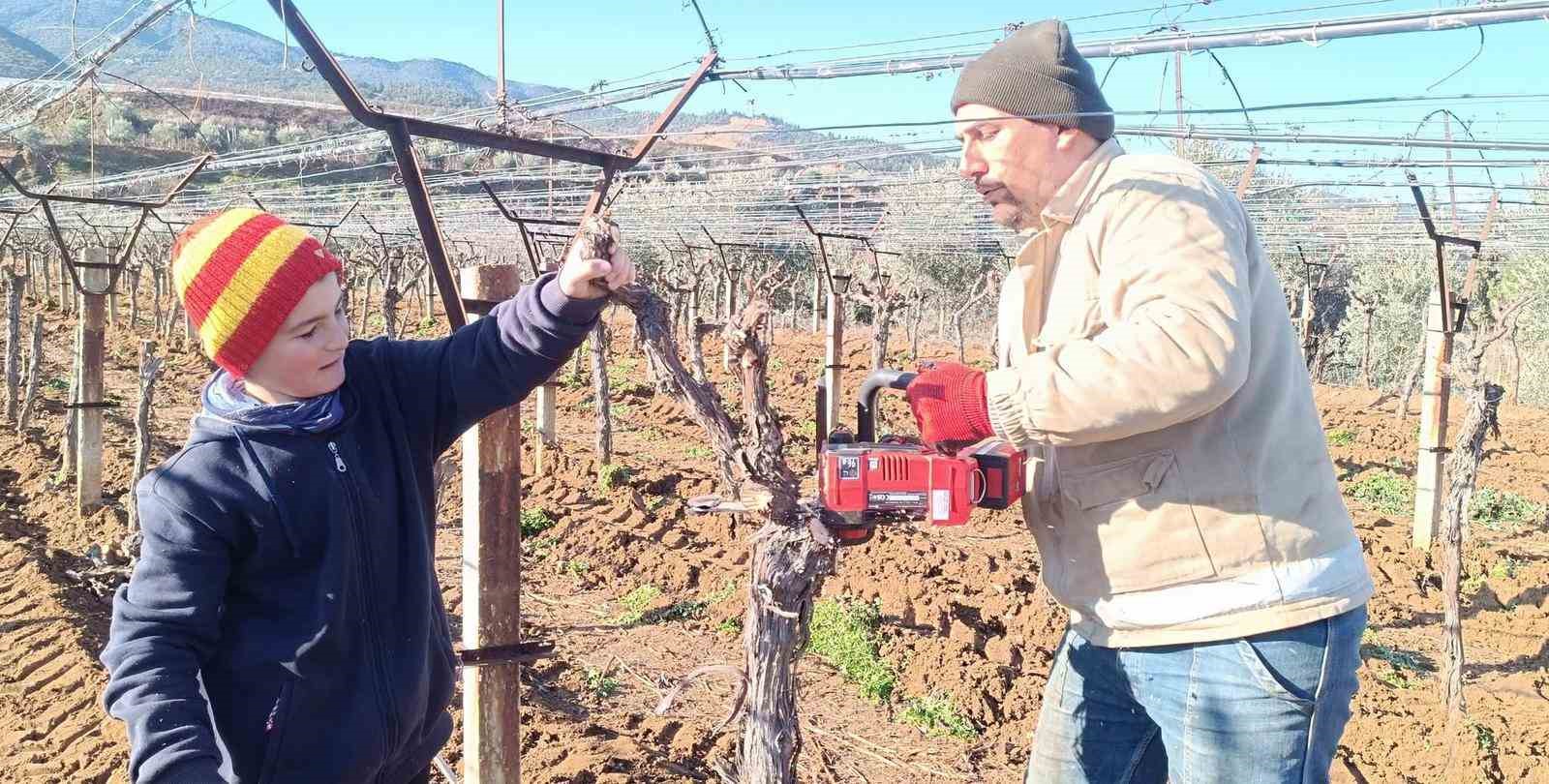 Üzüm üreticisi yenilik peşinde