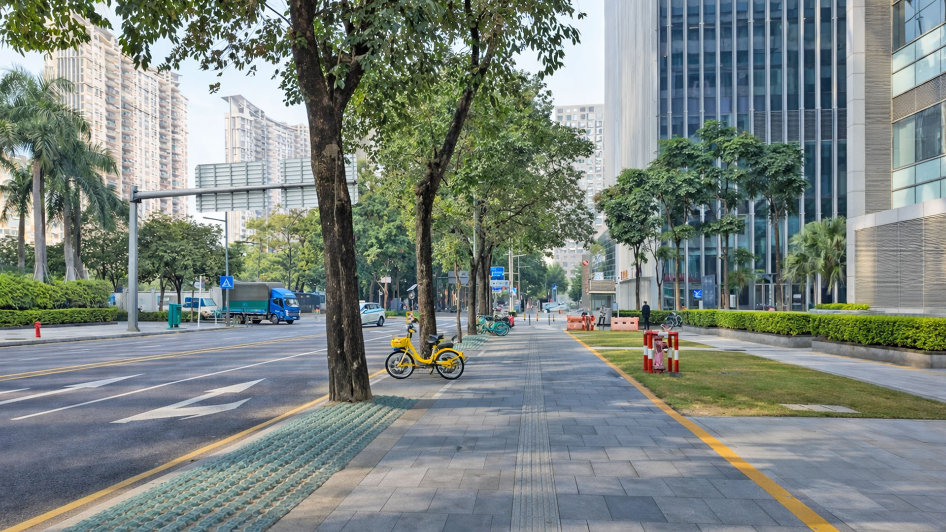 Tree-lined sidewalks in Futian District