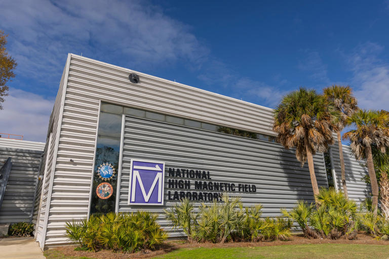 Florida State at 175: Delivering for Florida | Richard McCullough
