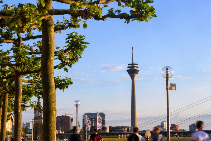 German investor morale rises more than expected in January, ZEW finds