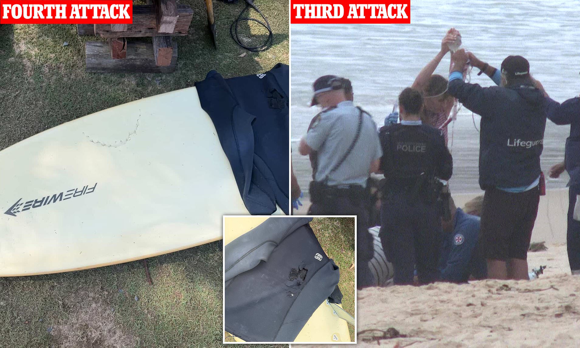 Surfer is injured in fourth shark attack to rock Australian state in 48 ...