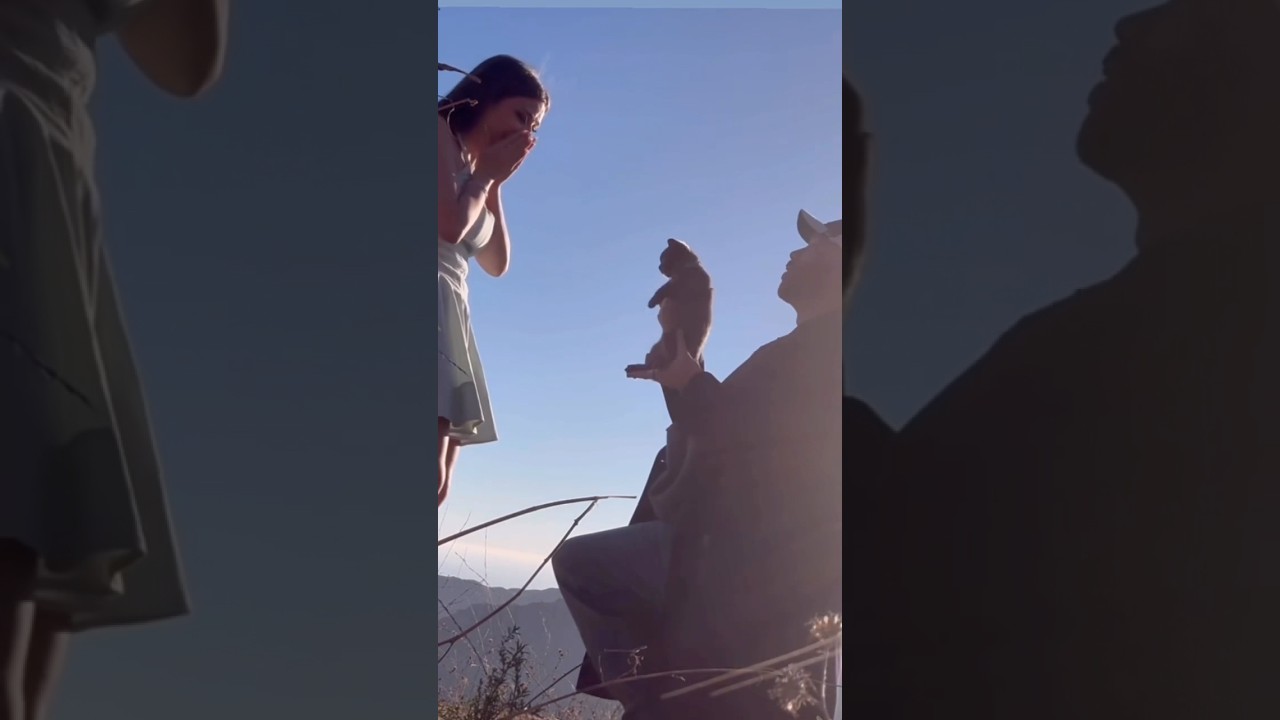 Our cat helped create the perfect proposal