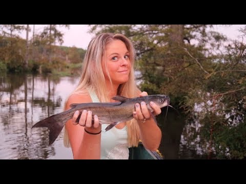 Catfish caught using fruit as unexpected bait