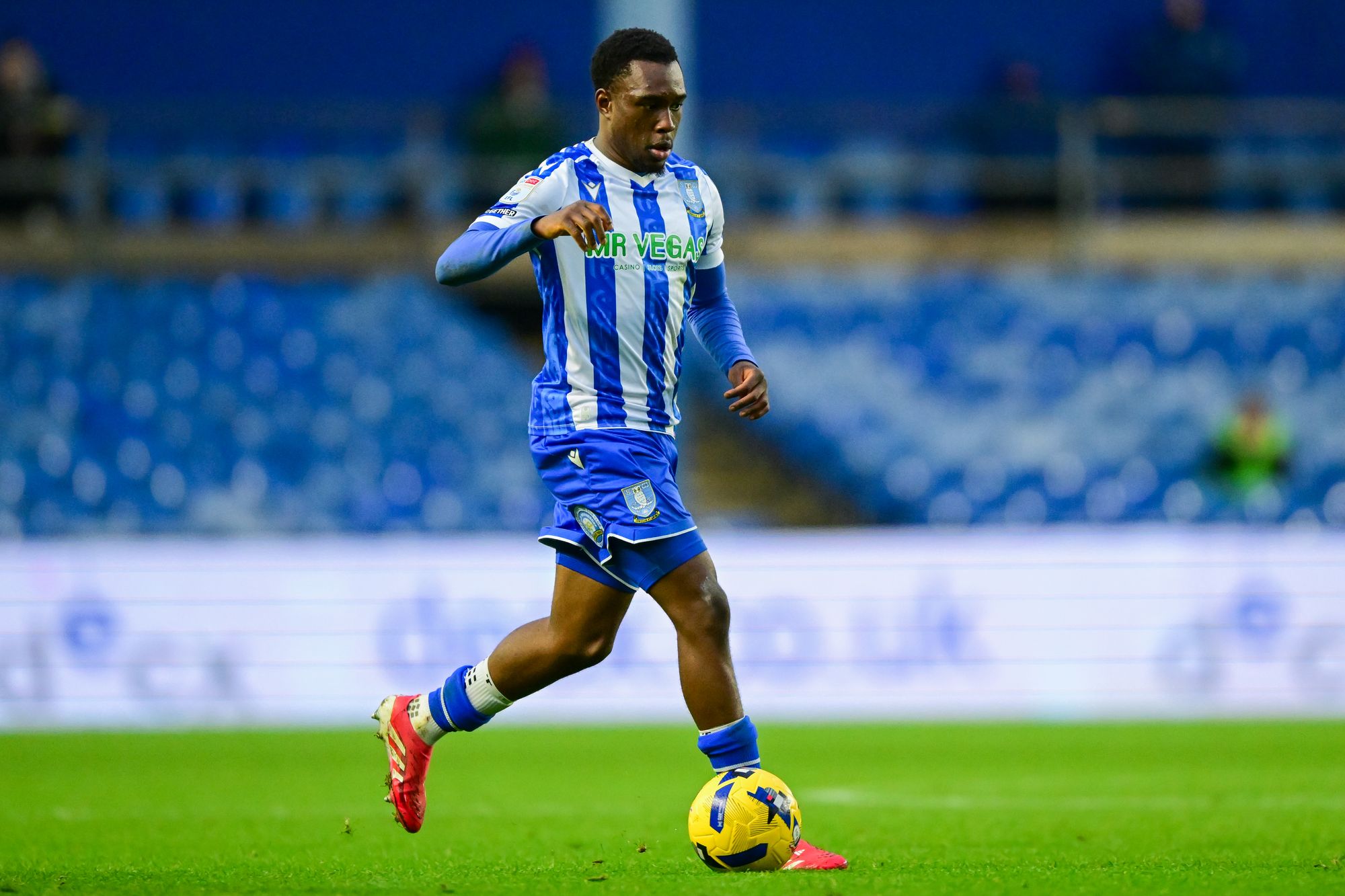 Sheffield Wednesday’s injury crisis worsens with two more ruled out ...