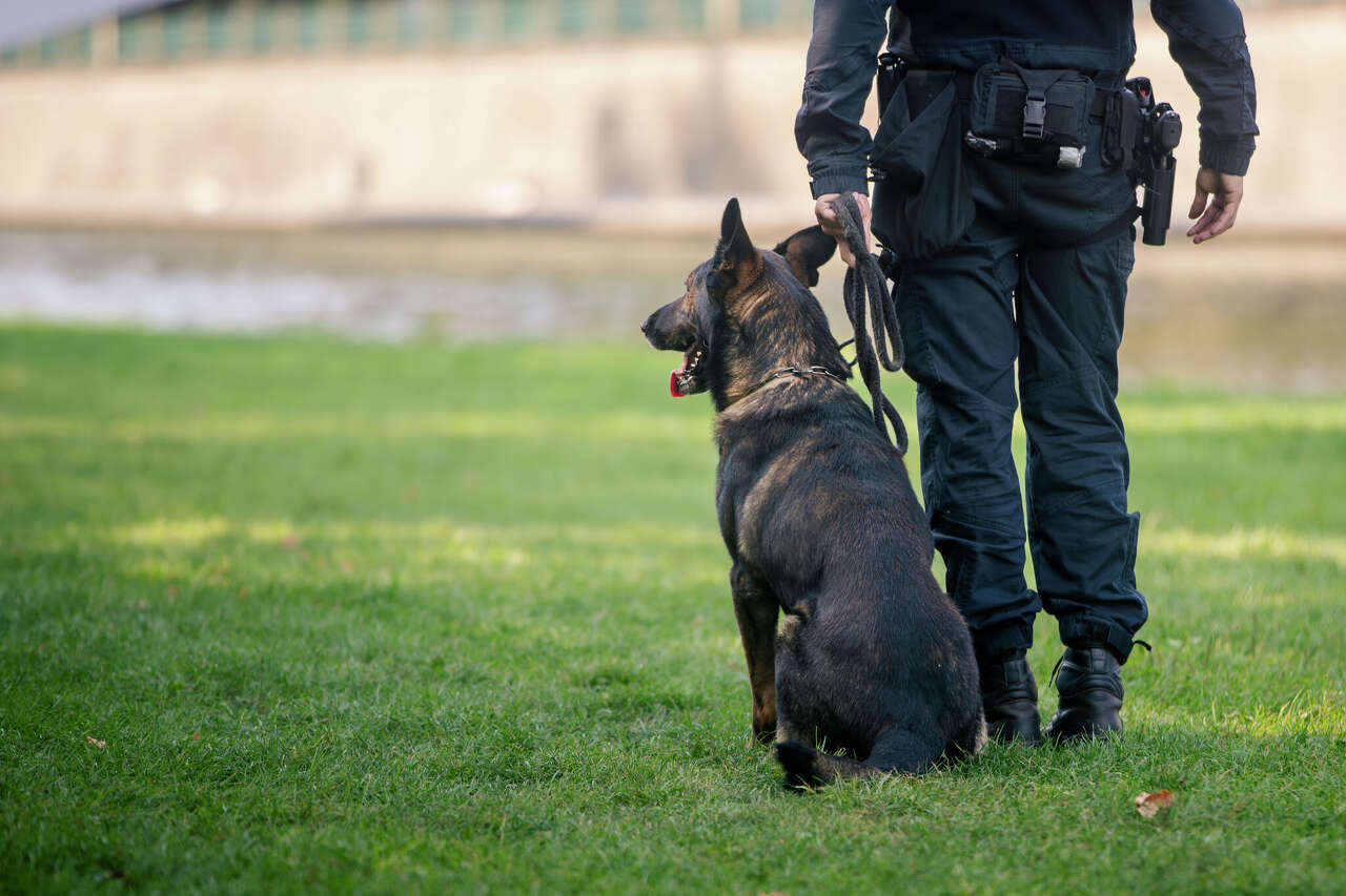 Roodhouse officer launches fundraiser to add police dog