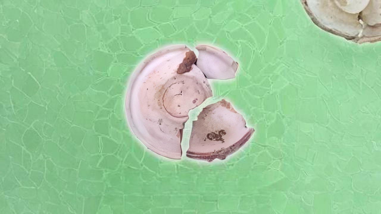 Mystery object: Strange bone in the mud!