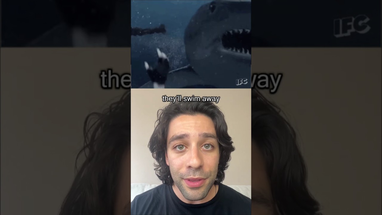 What to do if you are attacked by a shark