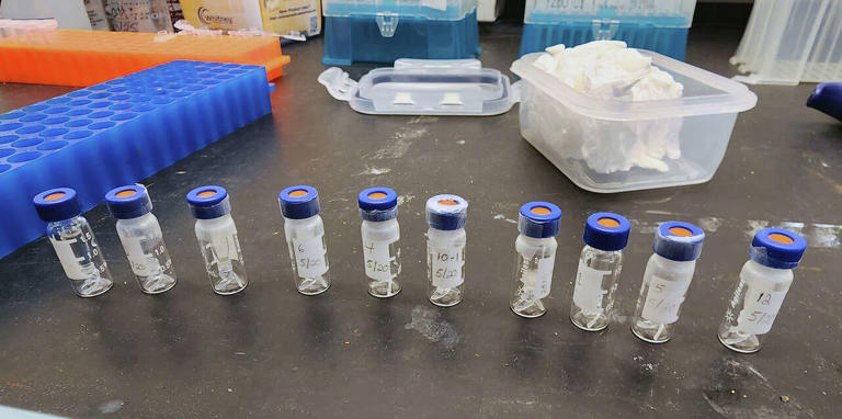 A little umami: IC-based research into nectar's chemical makeup hints ...