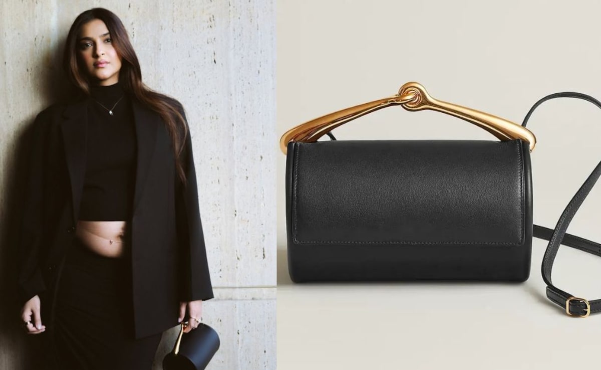 Sonam Kapoor flaunts Rs 6.8 lakh Hermes bag in latest pregnancy shoot