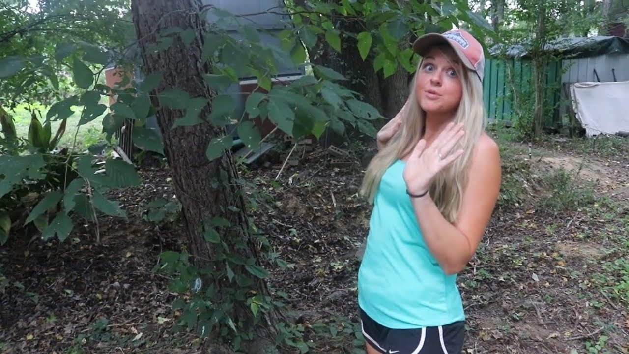 Poison ivy reaction shows how to avoid dangerous plants