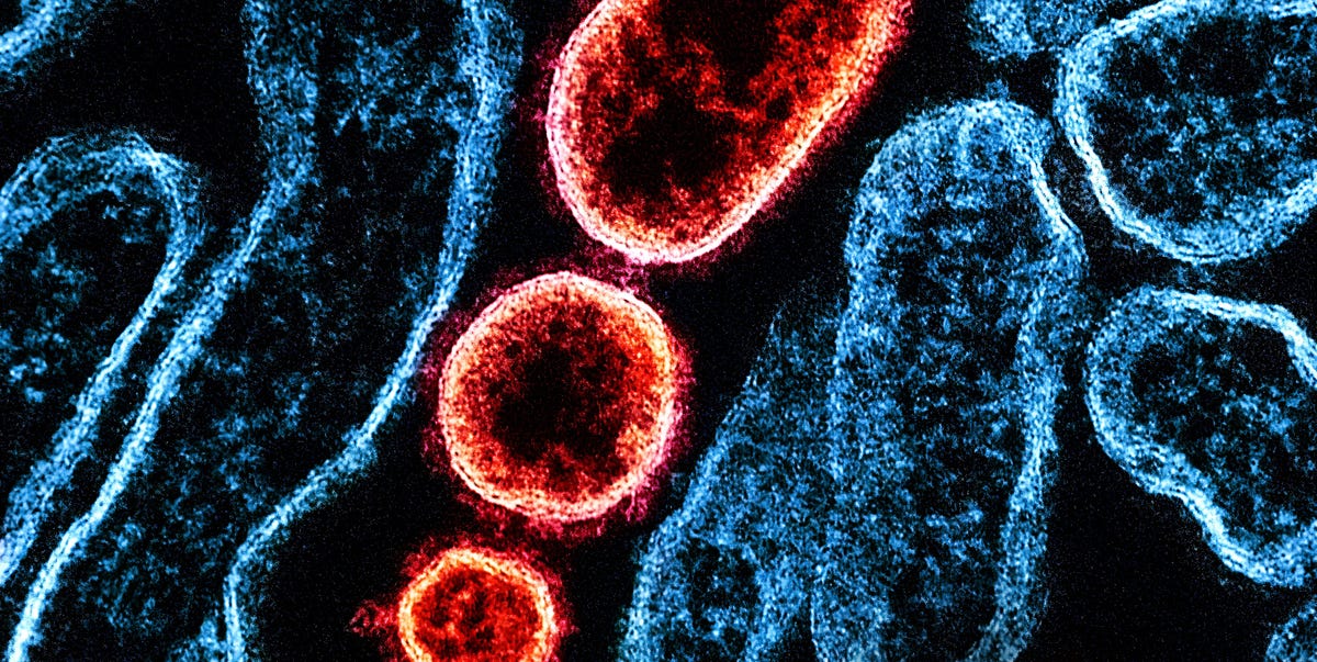Deadly high risk Nipah virus sparks global concern: 11 important ...
