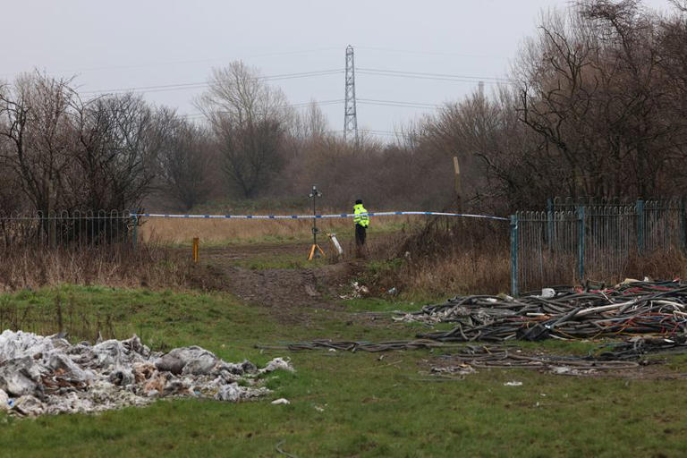 'Full examination' of Grangetown site ongoing as detective gives update