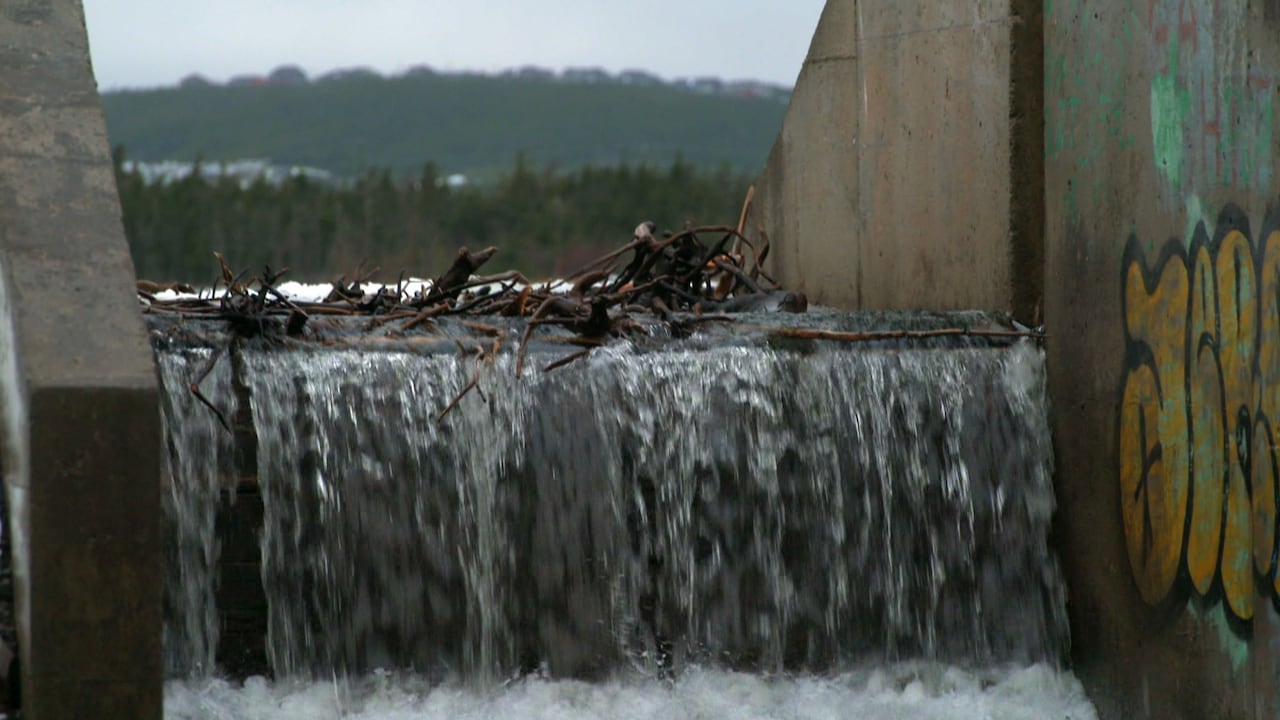 Torbay’s looking at new water supply while residents grow concerned ...