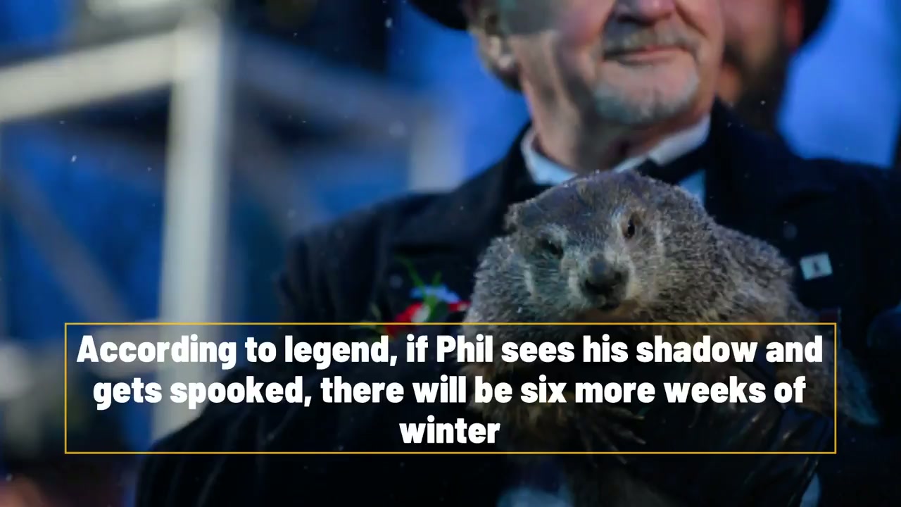 Groundhog Day: Most American's Trust Phil’s Predictions