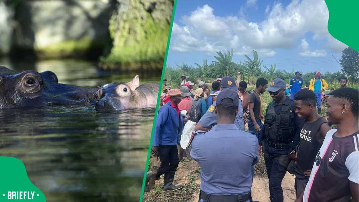 Tragedy strikes in KwaZulu-Natal: Two men drown trying to collect meat ...