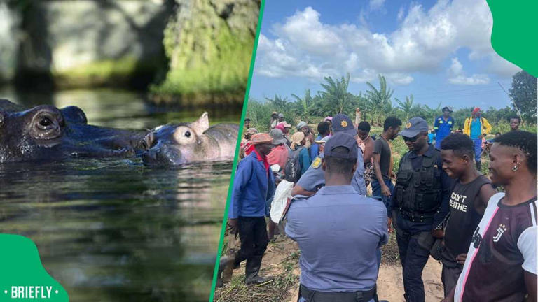 Tragedy strikes in KwaZulu-Natal: Two men drown trying to collect meat ...