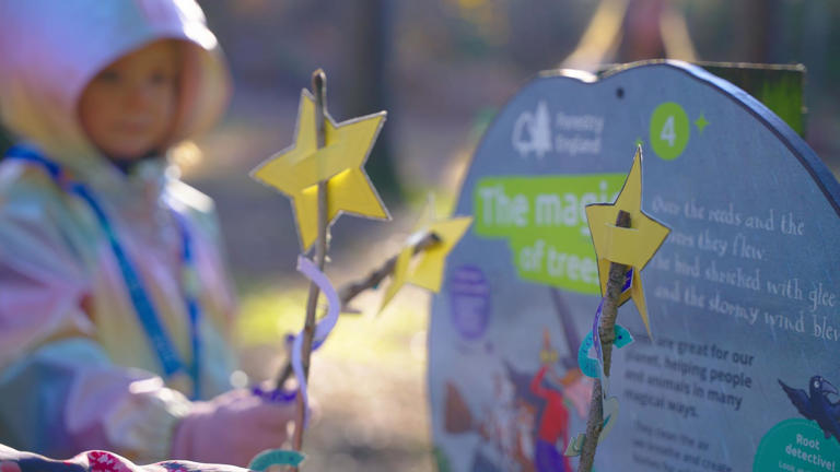 Forestry England Gisburn launches magical Room on the Broom trail