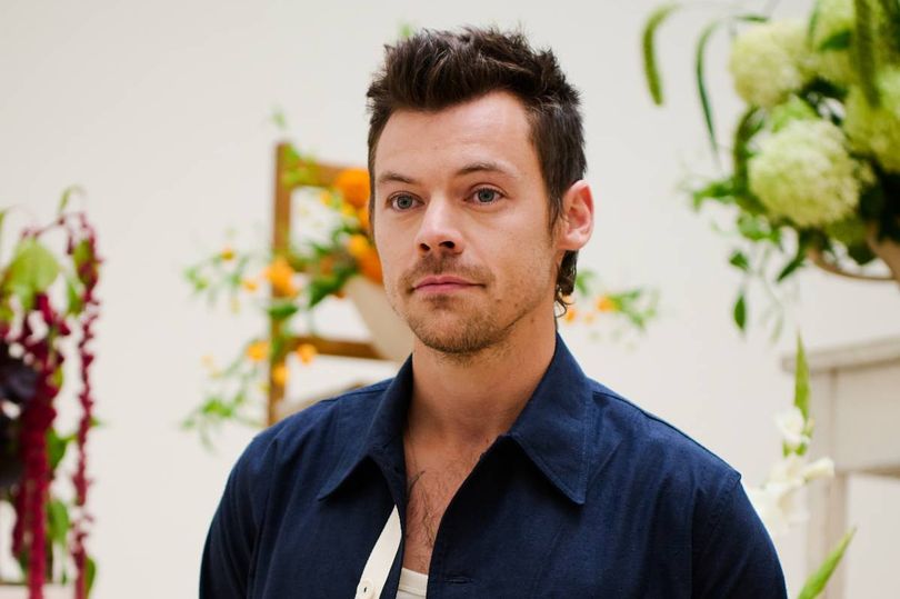 Harry Styles fans fume at 'insane' Wembley ticket prices as over 400k ...