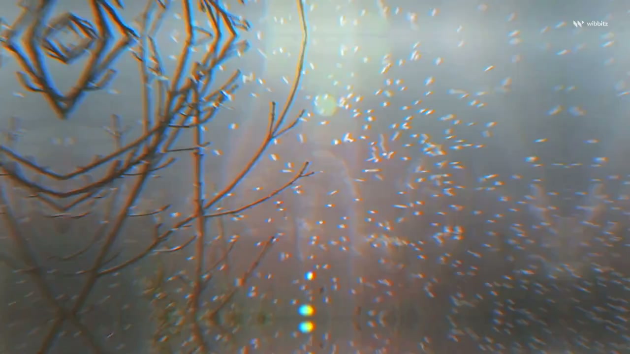 Some people may be 'mosquito magnets,' new study finds