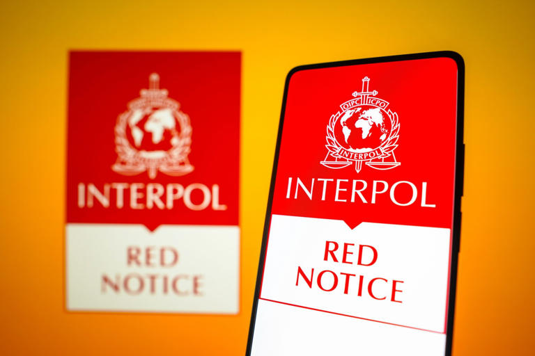 Russia accused of using Interpol to silence critics
