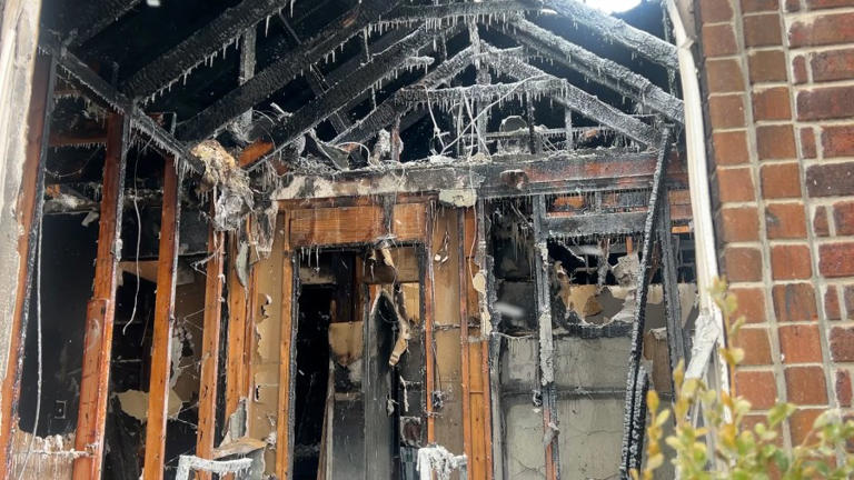 Wichita Falls man loses home, dog in accidental fire