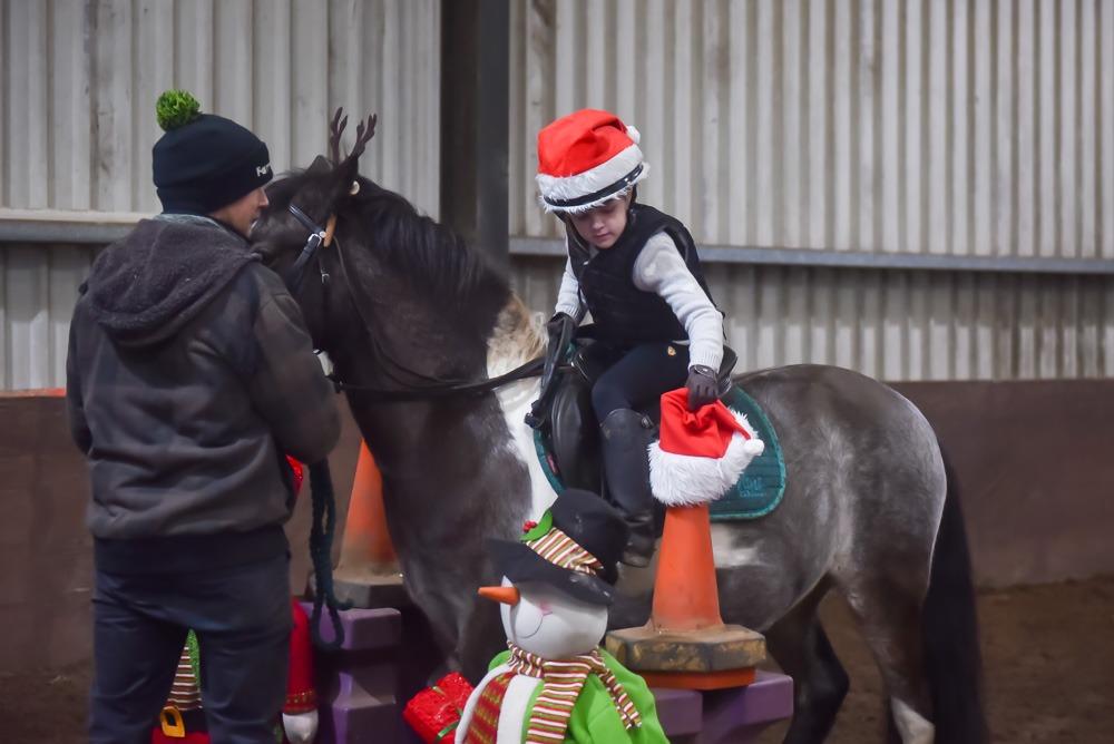 Horse Week: Colourful Christmas competition at Laurel View