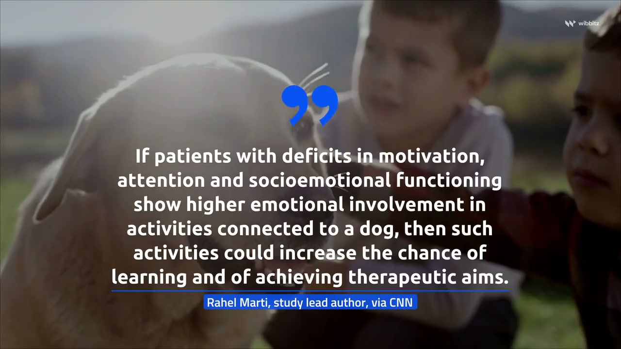 Study finds petting a dog boosts brain activity