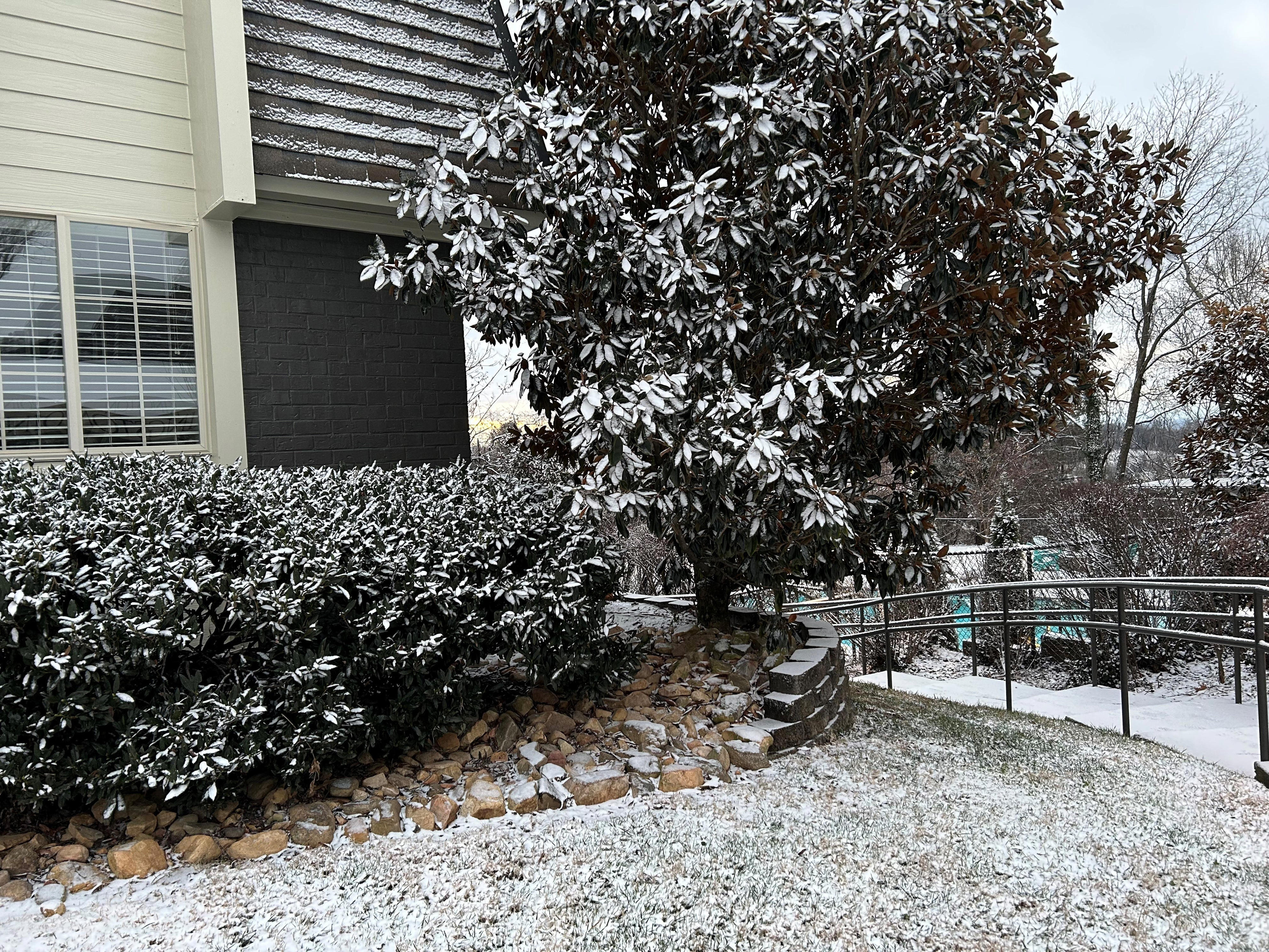 Live updates: Roads are icy, Knoxville services and schools are closed