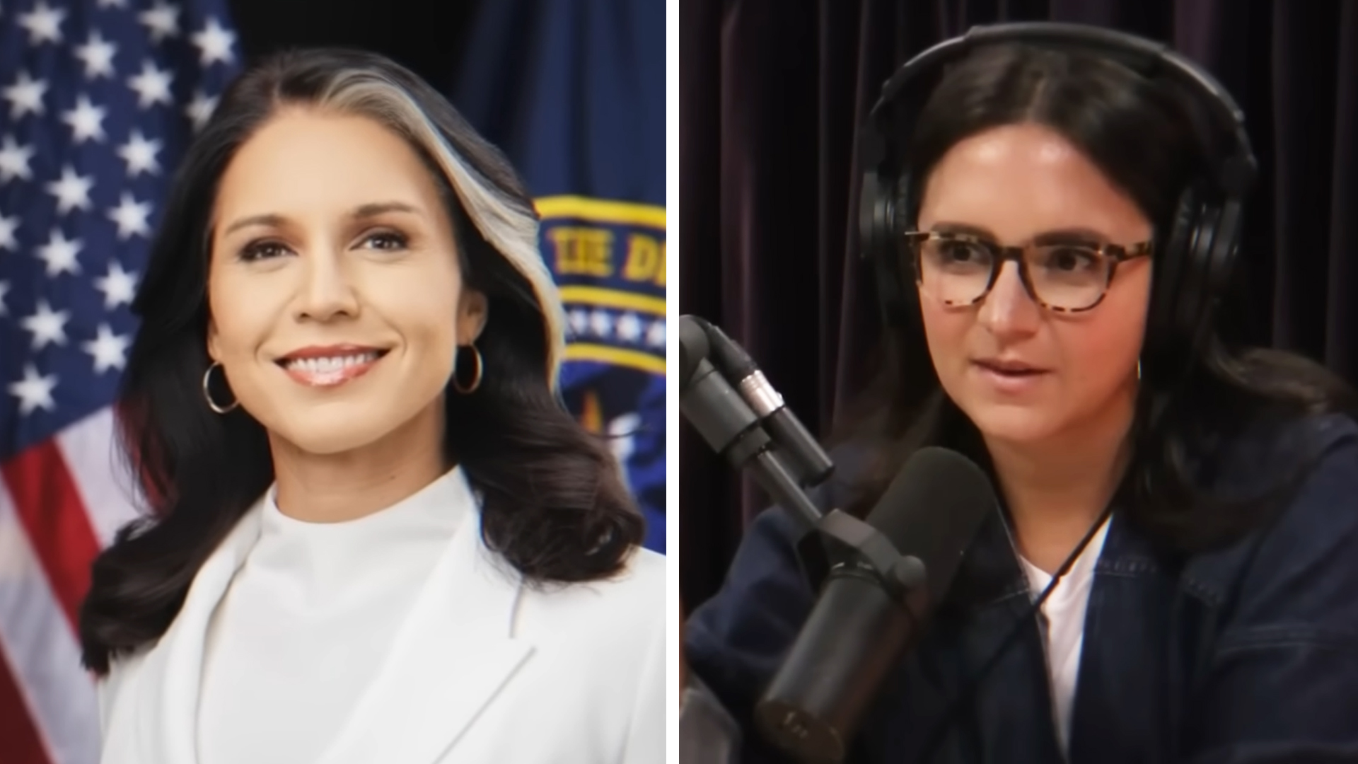 Tulsi is an Assad toad - a NYT reporter says this on Joe Rogan, then ...