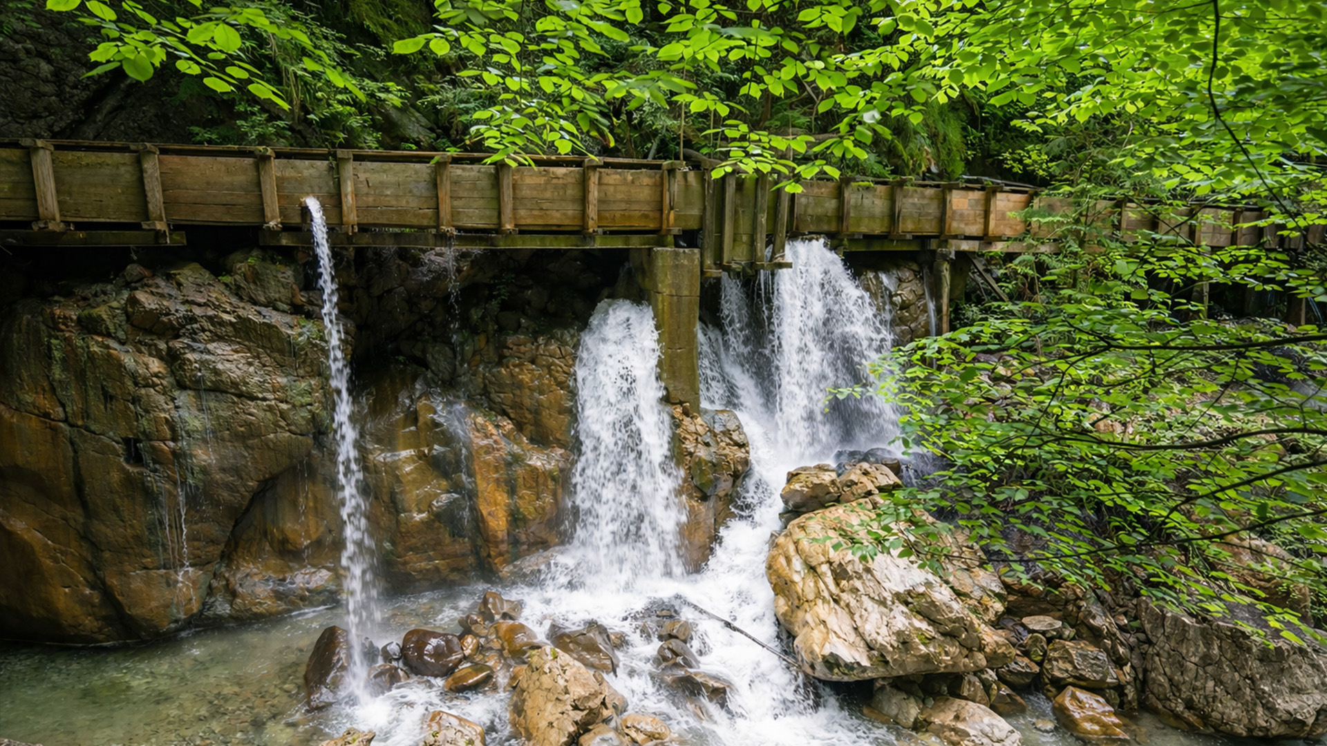 Seisenbergklamm Austria peaceful gorge walk experience (4K)