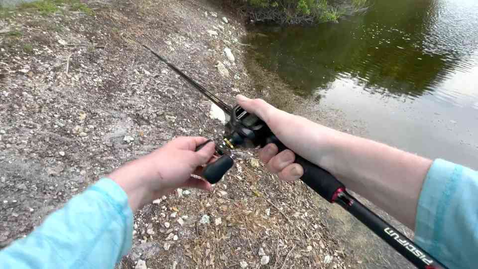 When baby ducks met the wrong predator