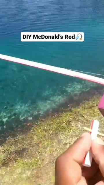 DIY McDonald's fishing rod catches fish
