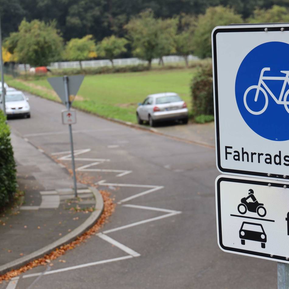Baumpflege am Grüner Weg