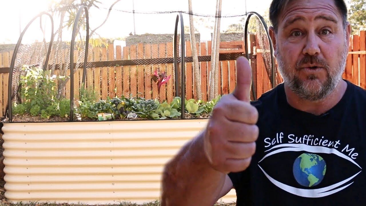 How to build a raised garden bed | Growing food in small spaces S1 E1