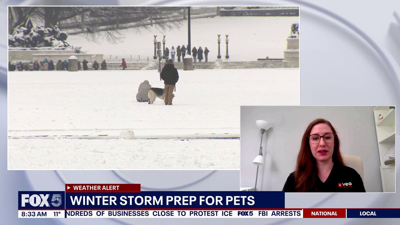 Keeping pets safe in the winter storm