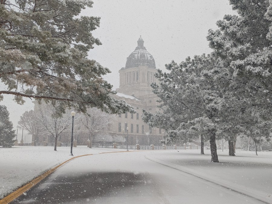 Voters could decide two property tax measures